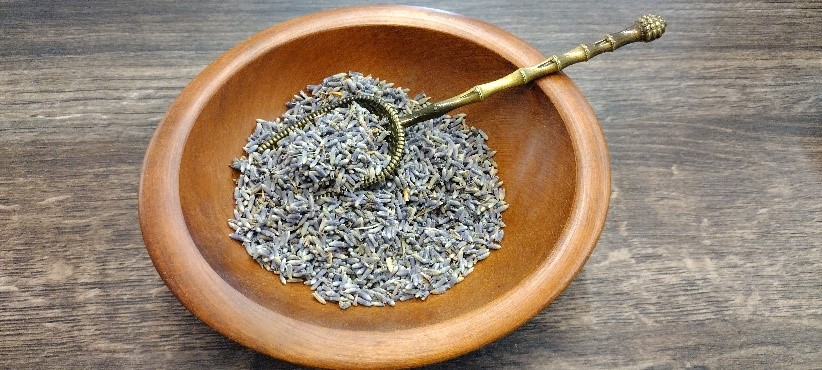 Lavender Flower, Lavandula angustifolia | Apothecary Bar